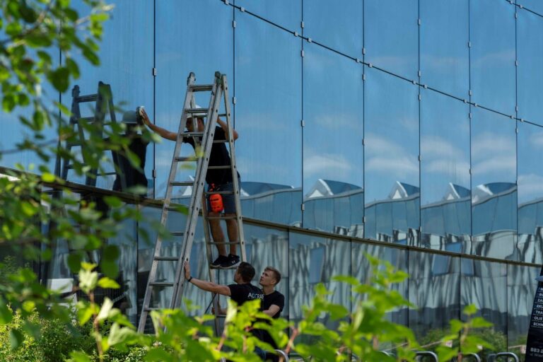 Product - Birdshades