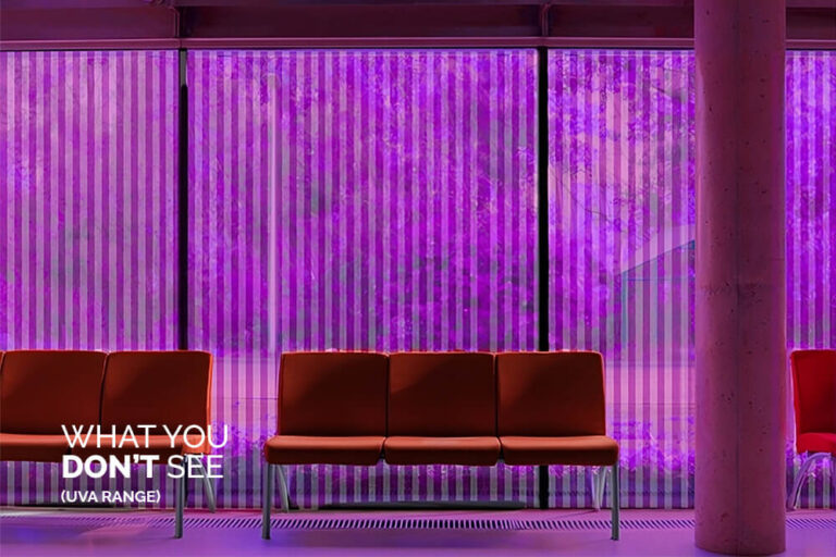 Product - Birdshades